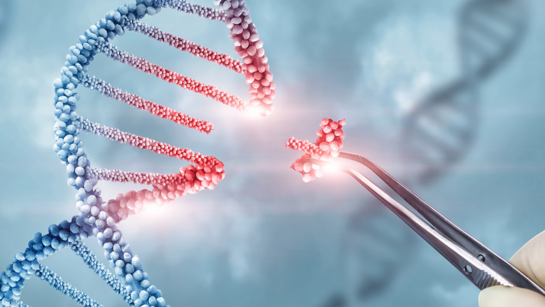 DNA editing achieved for the first time in history: The result was ...