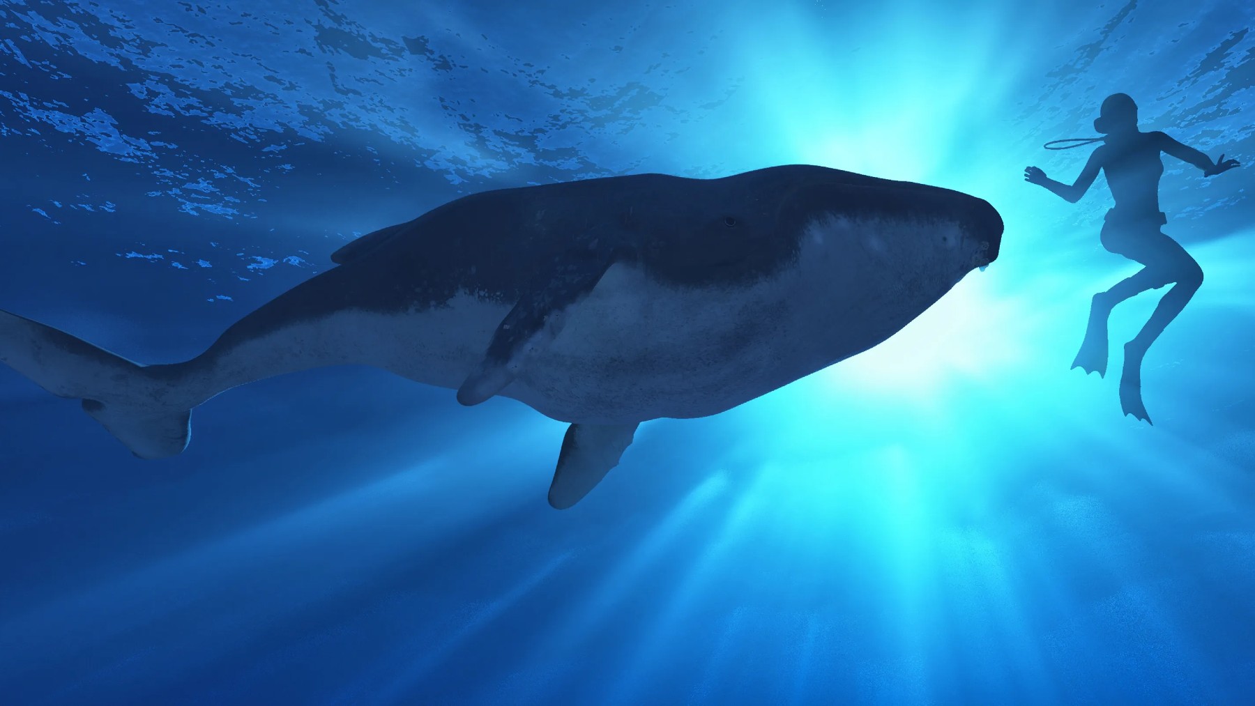 First human-whale conversation achieved with AI: You won't believe what ...